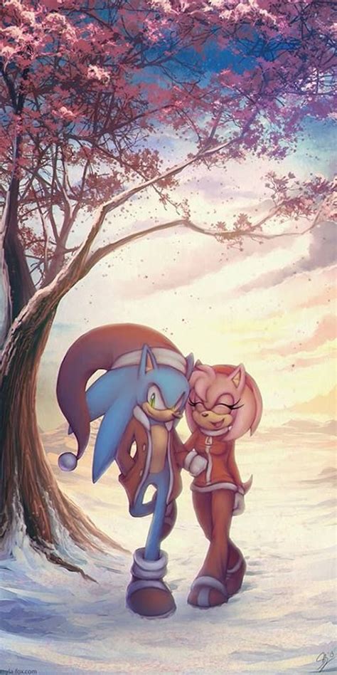 Pin By Susana Hdez On Sonic Imágenes Sonic And Amy Amy The Hedgehog