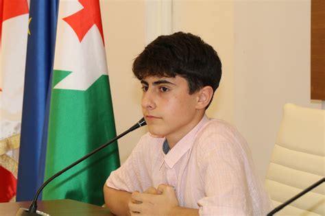 სენაკის მუნიციპალიტეტის საკრებულო Senaki Municipality City Council Senaki