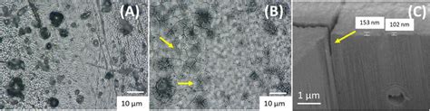 a a digital optical micrograph of an anodized 9 8 wt h2so4