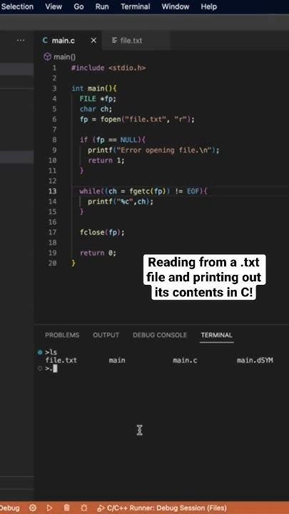 Reading From A Txt File In The Language Of C Programming Coding