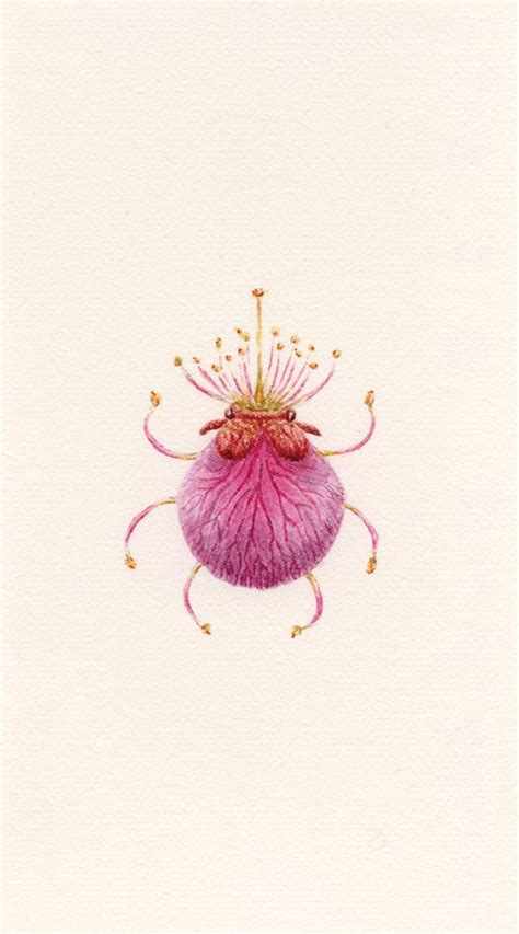 Insectdiary English Hiroshi Shinno