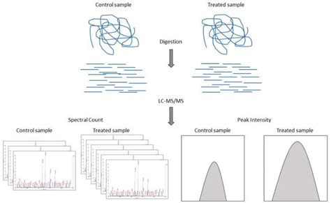 Label Free Quantitative Proteomics Each Sample Is Individually