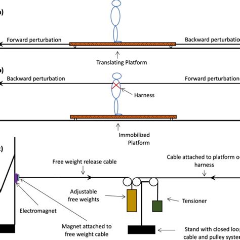 Perturbation Apparatus Diagram Figure A Represents Download