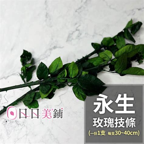 AliSHAAliSHA 永生花真玫瑰花莖 玫瑰支條 花莖 蝦皮購物