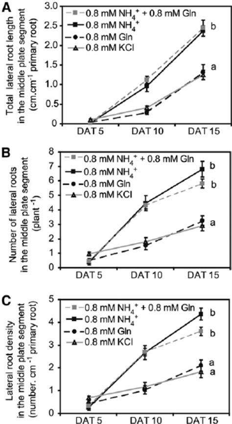 Influence Of Gln On Lateral Root Development Under Localized Ammonium