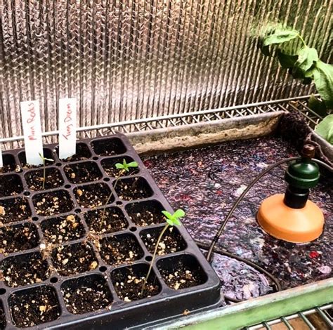 Capillary Mat System 120 X 120cm Sustainable Organic Q8