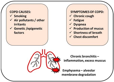 How Is Smoking Related To Copd At Kristin Knight Blog