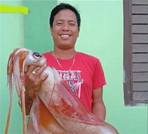 Higanteng Pusit Nahuli Sa Masbate City Police Files Tonite