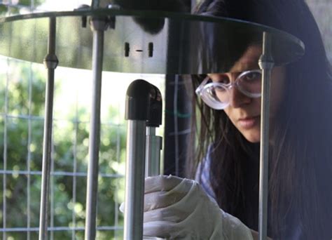 Our Lab Bci Consultancy