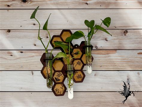 Home And Living Home Decor Floral And Indoor Planters Propagation Honeycomb