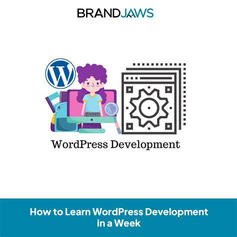 how to learn wordpress development in a week brandjaws web design