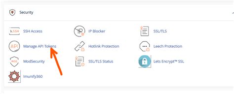 How To Manage API Tokens In CPanel HarmonWeb Blog