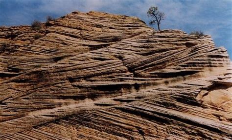 Bedding In Sedimentary Rocks