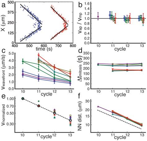 Wavefront Propagation And Speeds A Coordinate Of Nuclei At The Onset