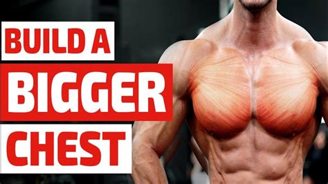 7 Huge Chest Workout At Gym Chest Exercises For Beginners Youtube