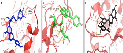 Pymol Visualization Of Interaction Docking Results Of Top 3 Ligands Download Scientific