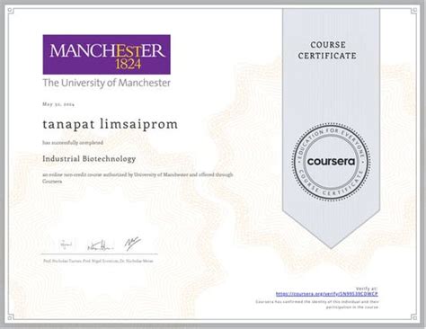 Build A Professional Resume Using Canva Tanapat Limsaiprom Pdf