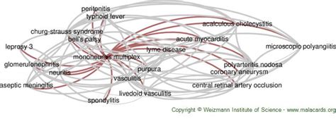 Mononeuritis Multiplex Disease Malacards Research Articles Drugs Genes Clinical Trials