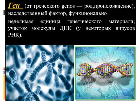 Предмет и задачи генетики - online presentation