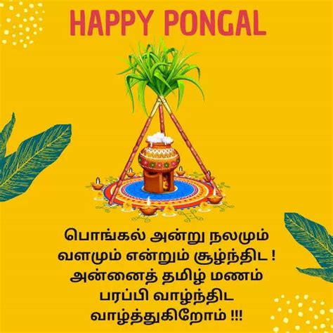 Pongal Wishes Kavithai பொங்கலுக்கு கவிதையில் வாழ்த்து சொல்ல வேண்டுமா