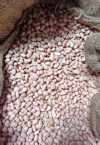 Bold Groundnut Kernels Seeds At ₹ 120 Kg In Visakhapatnam Id 2855364462062