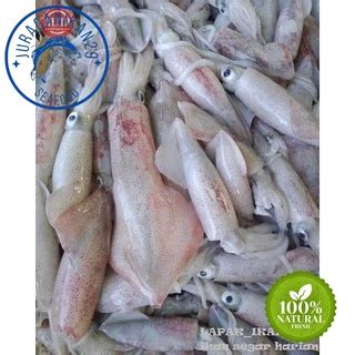Jual Cumi Sero Segar Shopee Indonesia