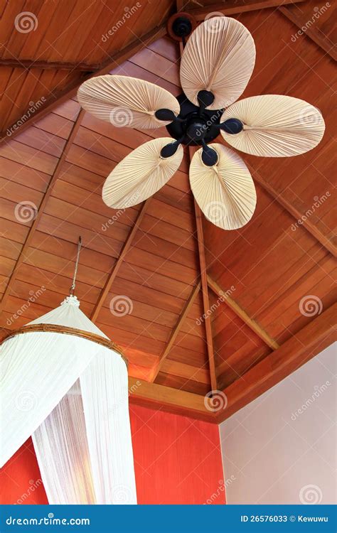 A Room With Palm Leaf Shaped Ceiling Fan Blade Stock Image Image Of
