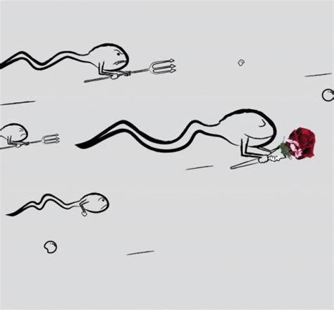 Sperm Sex Sperm Sex Relationship Discover Share GIFs