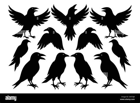 Crow Silhouette Bundle Vector Illustration Stock Vector Image Art Alamy