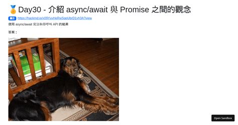 🏅day30 介紹 Async Await 與 Promise 之間的觀念 Codesandbox