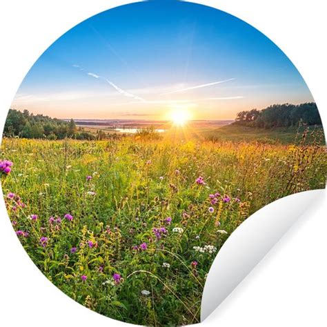 WallCircle Muurstickers Behangcirkel Zon Gras Bloemen 80x80