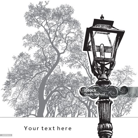 Lampadaire Vintage Et Silhouette Darbre Noir Vector Image Isolé Sur