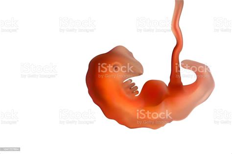 태아 및 아기 어머니의 자 궁 태아에에서 붉은 색조와 함께 그림으로 3d 스캔에 대한 스톡 사진 및 기타 이미지 3d 스캔 3차원 초음파 3차원 형태 Istock