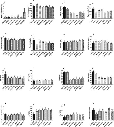 Mean And Standard Error Mean ± Sem For Blood Parameters A Hsp70