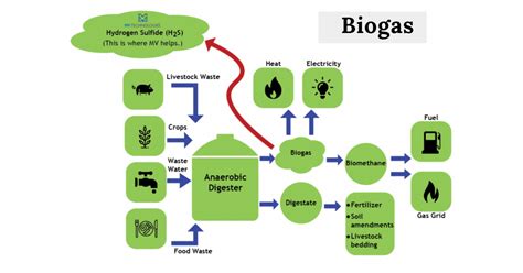 Biogas Market Global Industry Analysis Size Share Growth Trends