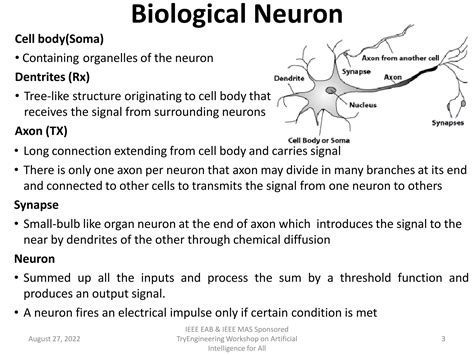 Introduction To Artificial Neural Networks Part Iipdf
