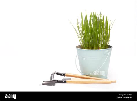 Gardening Tools And Seedlings Stock Photo Alamy