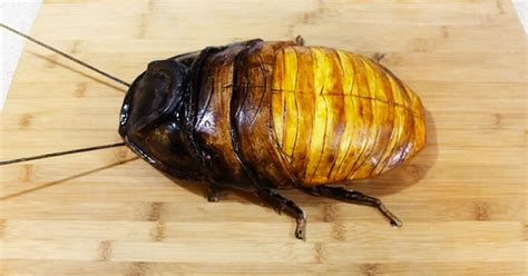 생생지구촌 대왕바퀴벌레의 출현식욕감퇴 바퀴벌레 케이크