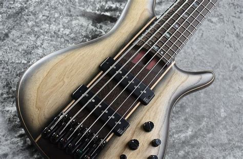 Benefits Of 6 String Bass At Caitlyn Tooth Blog