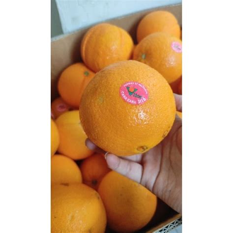 Jual Navel Sunkist Cara Cara Shopee Indonesia