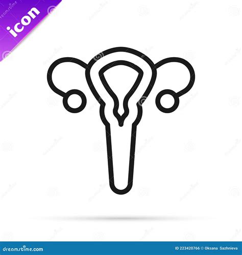 Black Line Female Reproductive System Icon Isolated On White Background