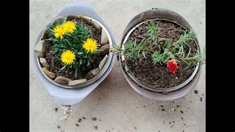 오래된 냄비가 깜찍하고 예쁜 화분으로 변신 Youtube