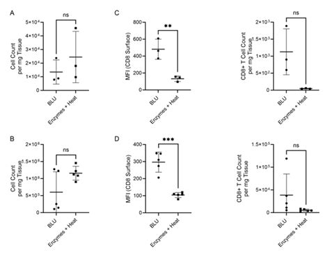 Enhanced Mouse Brain Cell Surface Expression With Simpleflow