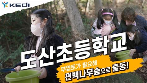 탄소중립 중점학교를 찾아서~ 도산초등학교 편 Youtube