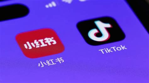 Help With English Homework Tiktok Refugees On Rednote Connect With