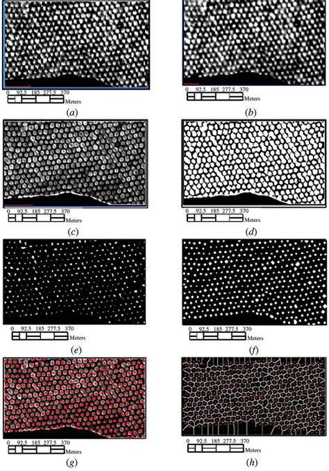Results Of Each Processing Technique A Image After Pre Processing