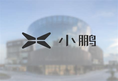 Showmebug 案例 深信服 X Showmebug 一年1万场在线面试的校招体验是怎样的？