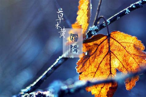 今日霜降 秋冬容易生病，常备这些在身边