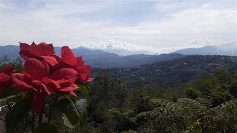 Somewhere In The Outskirts Of Baguio Ritookapictureph