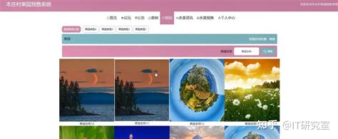 Springboot项目怎么做？果园预售系统 Springboot项目实战 知乎